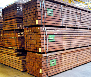 Ruw hout voor trap-en timmerfabrikanten | Hoogste kwaliteit (hard)hout